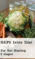 GAPS Introduction Diet Stages for Leaky Gut