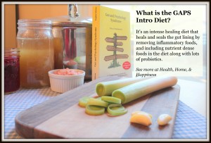 GAPS Introduction Diet Stages for Leaky Gut