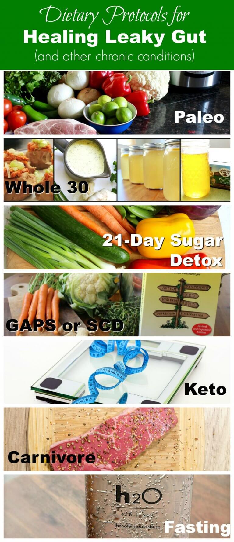 Leaky Gut Treatment through dietary protocols: 6 Healing Diets Reviewed